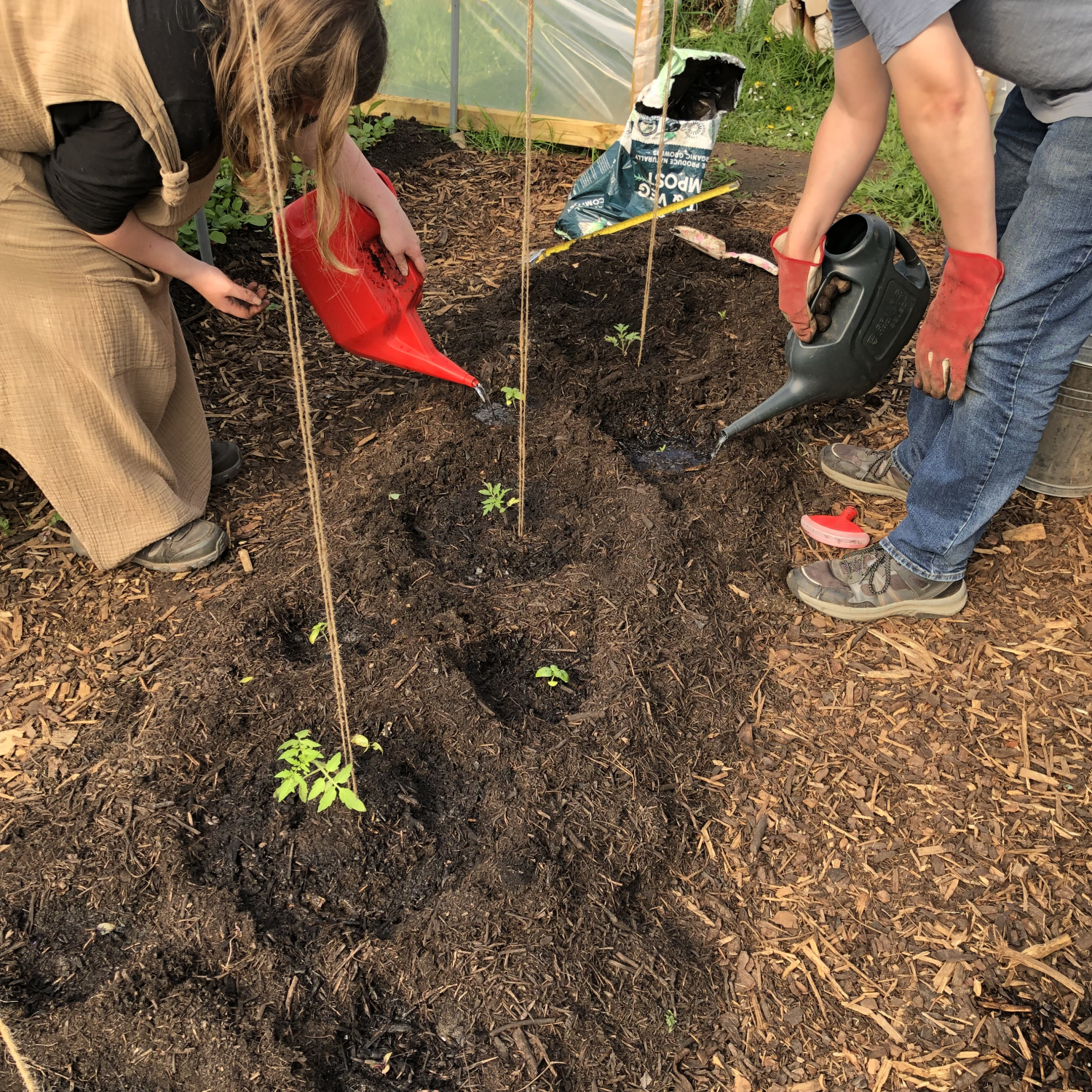 Community Gardening - CAG Devon